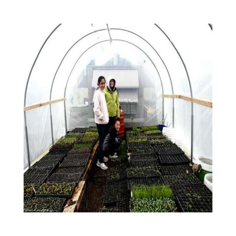 City growers | PPTX