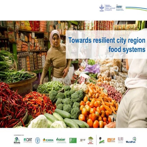 City region food system program | PDF