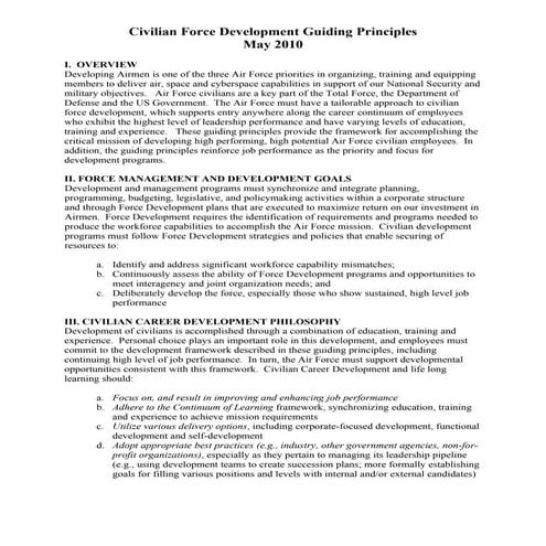 Civ guidingprinciples | PDF