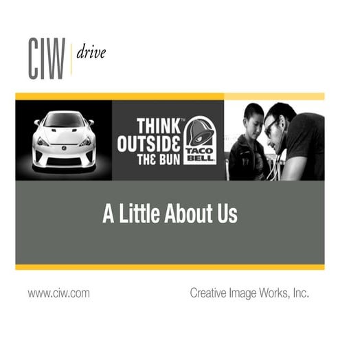 CIW Overview | PDF
