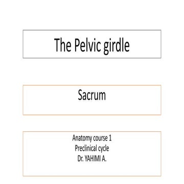 The pelvic girdle (sacrum) in English presentation .pdf
