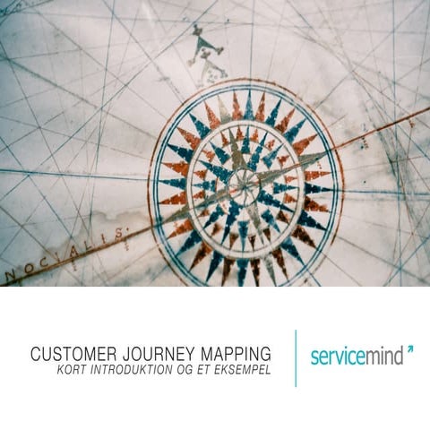 Quick Guide - Customer Journey Mapping | PDF