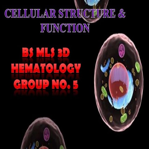 Cell Structure | PPT