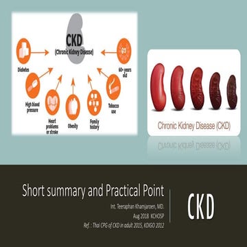 CKD | PDF