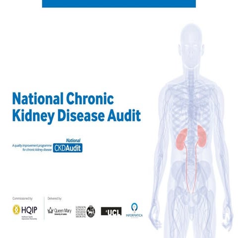CKD Audit Report Summary - Subtitled.pptx