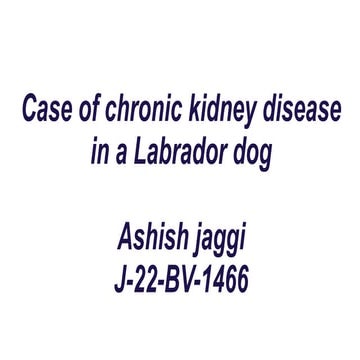 Ckd dog-chronic kidney disease of dogs , a case study of the different ...