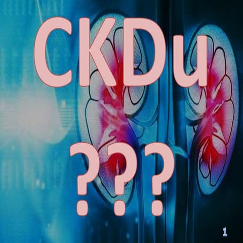 CKDu | PPTX