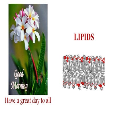 CL-02: lipid classification & Simple lipids by Santhosh Kumar .pptx