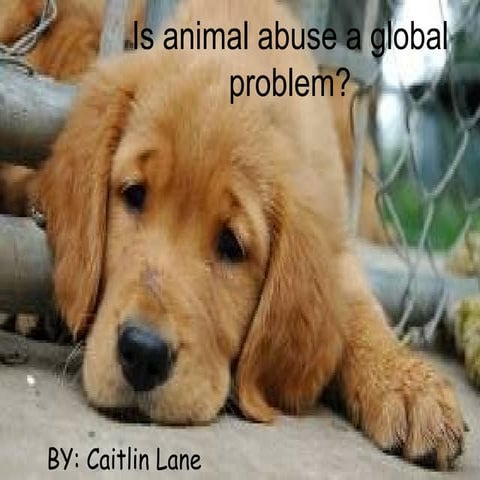 Animal abuse different types of abuse on animals | PPTX