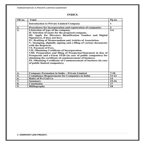 formation of a company | DOCX