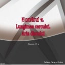 Cl. 6_ Numărul pi_Lungimea cercului | PPT