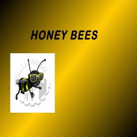 Cl iv-honey-bee-ppt | PPT