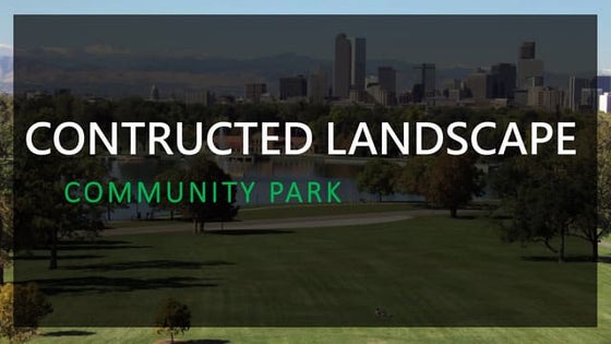 Silent valley movement | PPT