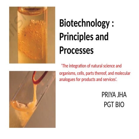 CL12_ Biotechnology_Principles and Process_Priya Jha.pptx
