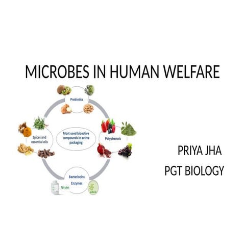 MICROBES IN HUMAN WELFARE PRIYA JHA KVS. | PPTX