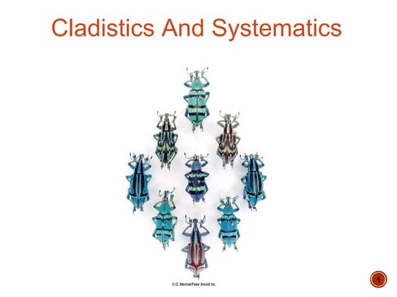 What is Systematics | PPT