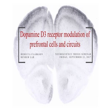 Dopamine D3 receptor modulation of prefrontal cells and circuits | PPT