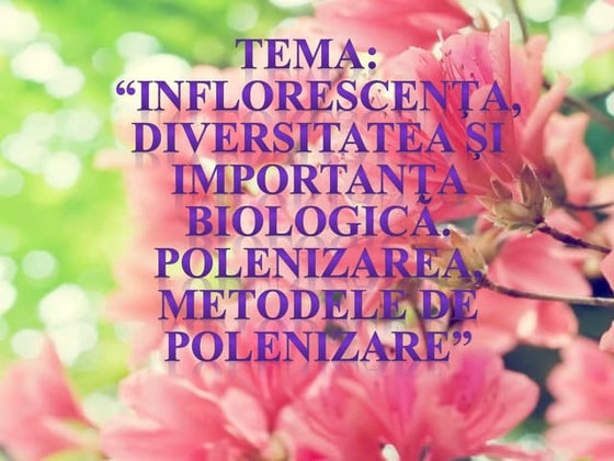 Respiratia la plante | PPT