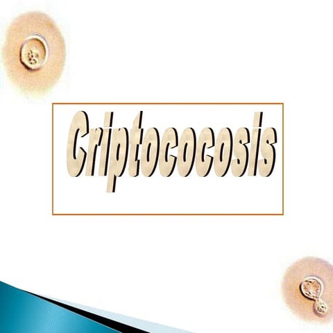 Criptococosis | PPTX