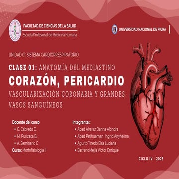 MEDIASTINO, CORAZÓN, PERICARDIO, ARTERIAS CORONARIAS Y GRANDES VASOS ...