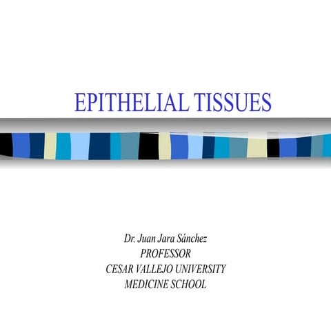 Epithelium histology | PPT