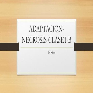 CLASE 1-B-ADAPTACION,NECROSISI,APOPTOSIS.pptx