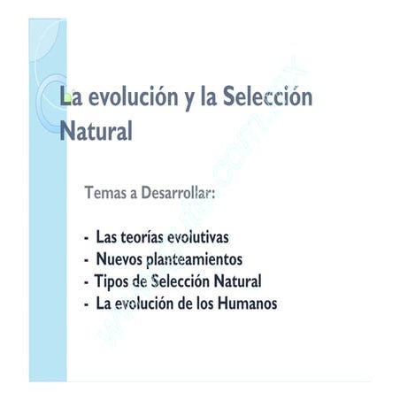 Clase 13 Evolución Y Selección Natural | PDF