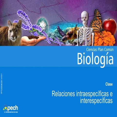 Relacion intraespecifica e interespecifica | PDF