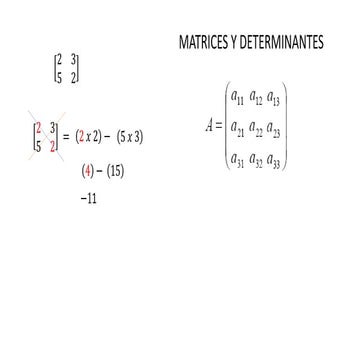 matrices y determinantes 2x2.pptx
