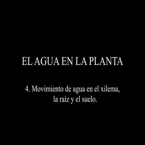 apoplasto y simplasto Absorcion del agua por las plantas | PDF