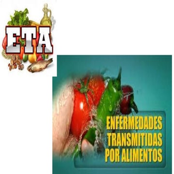 microbiologia, enfermedades transmitidas por los alimentos | PPTX