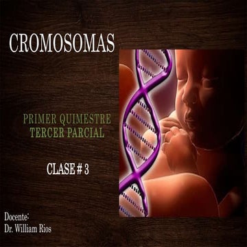Clase 3 los cromosomas | PPTX