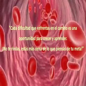 Clase 3 udabol Eritropatología 24 al 28-3-25 (1).pdf