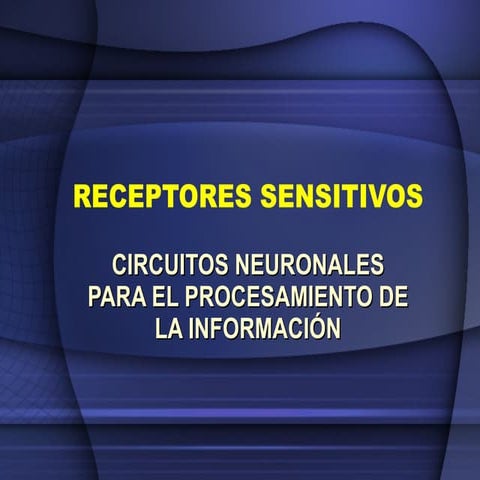 Clase 4 - Receptores Sencitivos - Circuitos Neuronales Para El ...