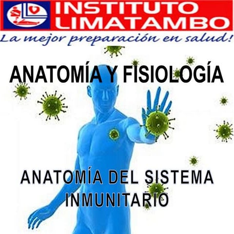Inmunidad innata: la primera linea de defensa del organismo ...
