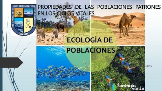 Marylopezegusquiza2 presentations