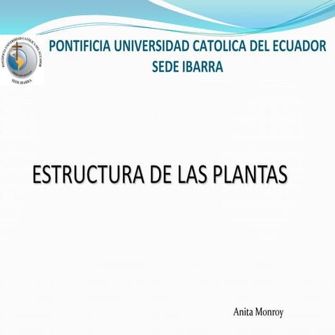 Clase 7.estructura de_las_plantas | PPTX