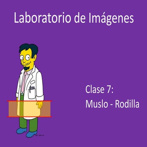 Clase 7 - Muslo y Rodilla | PPTX