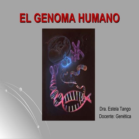 Clase 7 organización del genoma humano | PPT