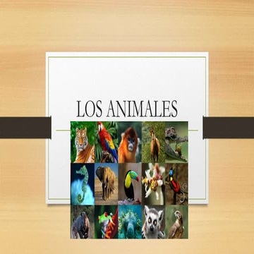 CLASE 8 -LOS ANIMALES.pptx