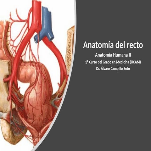 ANATOMIA Y FISIOLOGIA RECTO Y ANO.pptx,. | PPTX