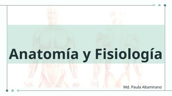 TRONCO, TORAX, COLUMINA VERTEBRAL (1).pptx