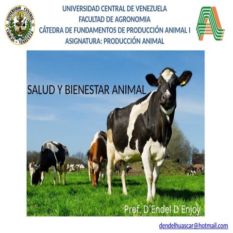 Clase inicial de Bienestar y salud Animal | PPTX