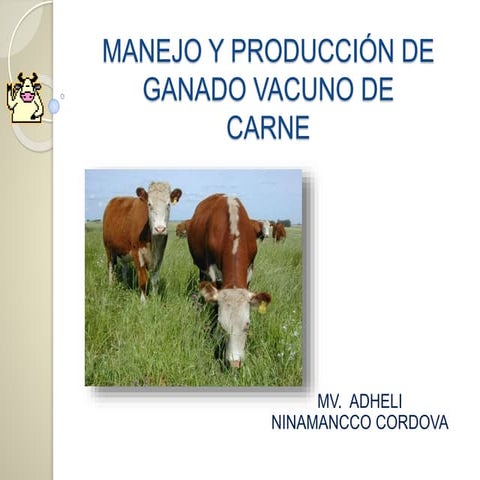 Anatomía y fisiología reproductiva de la vaca.pptx