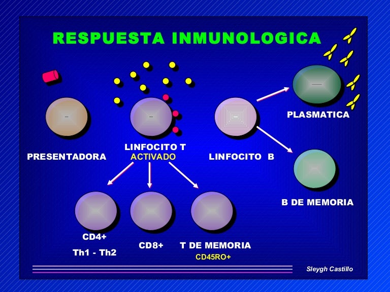 HCM - Inmunologia - Respuesta Inmunologica