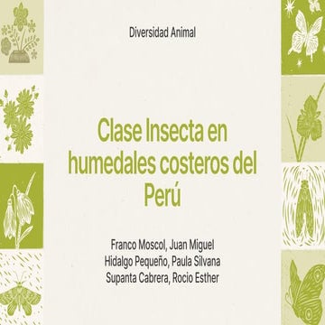 EXPOSICIÓN SOBRE LA CLASE INSECTA EN LA COSTA PERUANA | PDF
