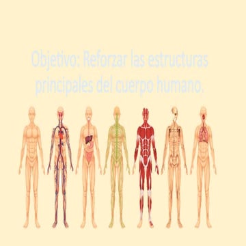 los sistemas del cuerpo humanoenppt.pptx