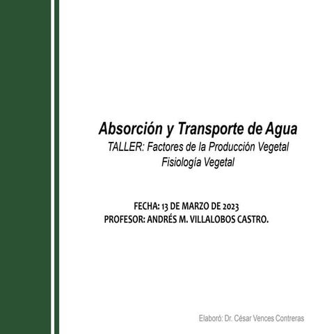 apoplasto y simplasto Absorcion del agua por las plantas | PDF