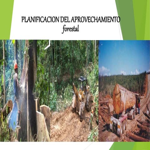 Clases Planificación Explotación Forestal.ppt