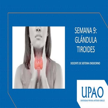 TIROIDES morfologia y fisiologia morfo 3.pdf